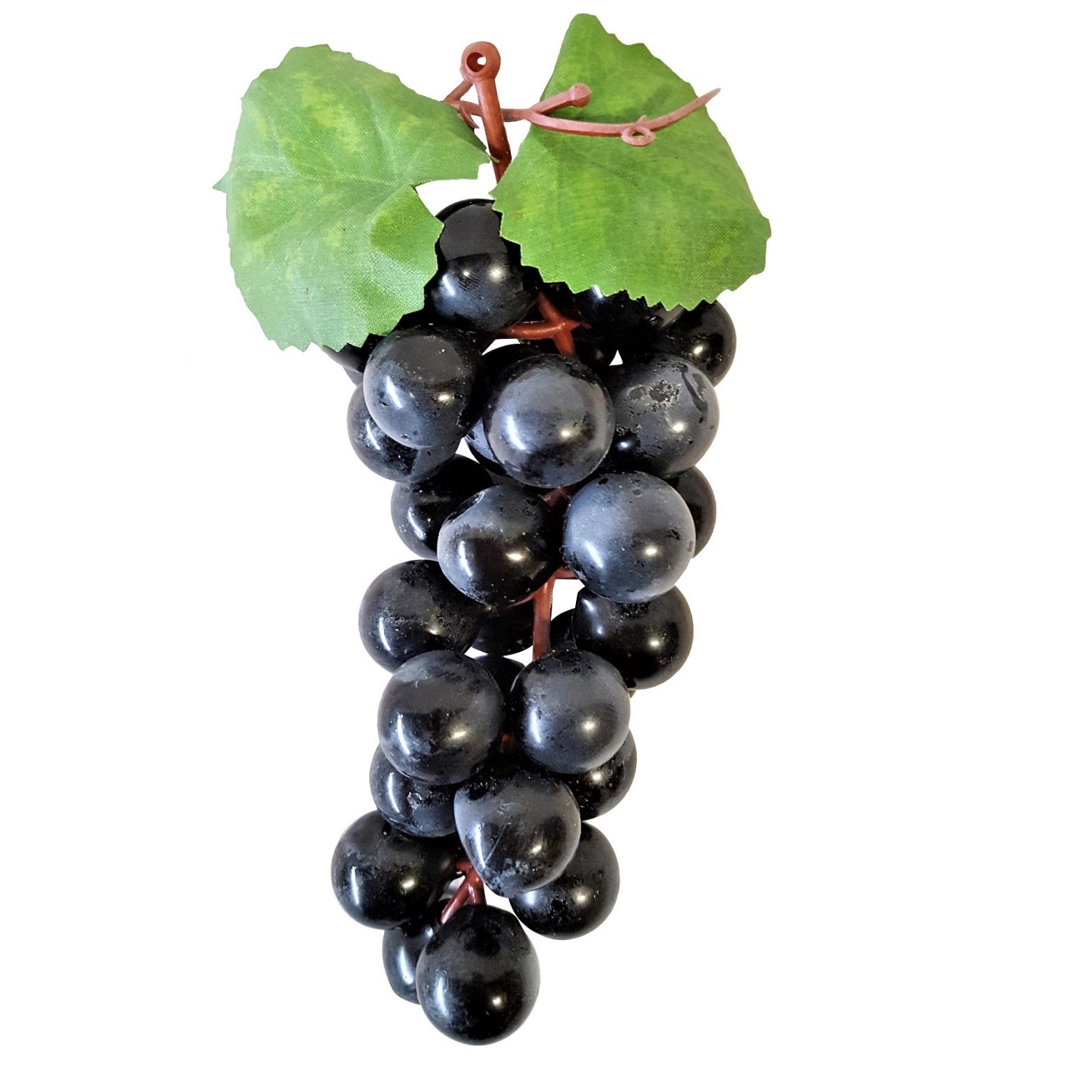 Krulliaan Blauwe Druiven - Druivenrank van Decofoodshop