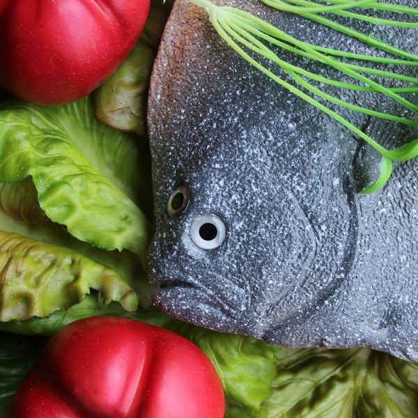 Counterfeit Fish & Meat - Buy fake fish and fake meat at Decofoodshop